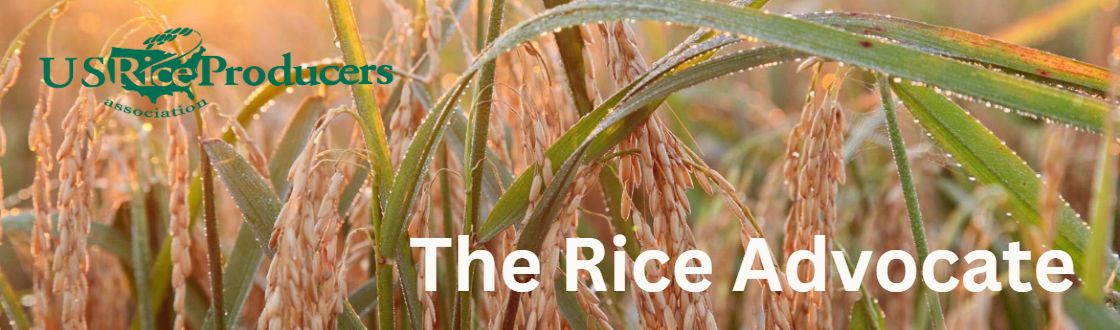 US Rice Producers: De cara al mercado del arroz en 2024 - ANAMH ...